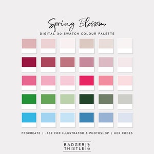 Spring Blossom | Digital Colour Palette Swatches Download | Procreate ...