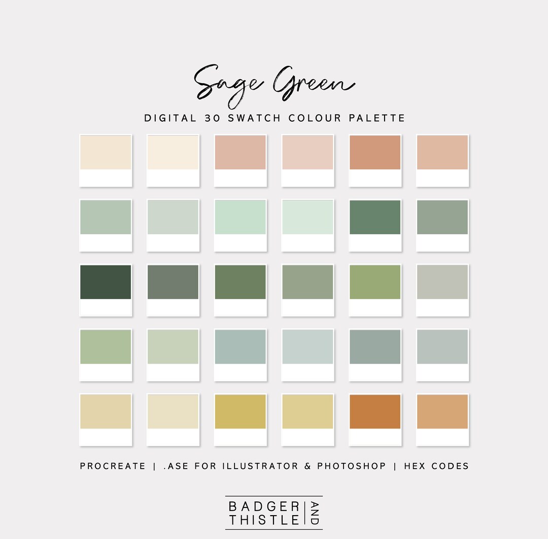 Sage Green Digital Colour Palette Swatches Download Procreate Photoshop 