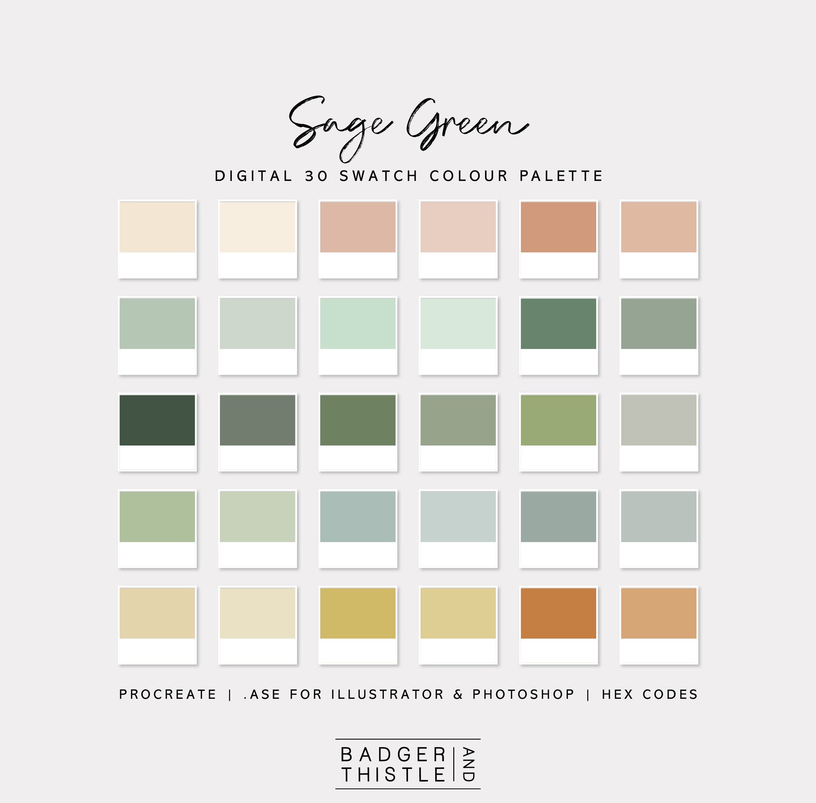Sage Green | Digital Colour Palette Swatches Download | Procreate ...