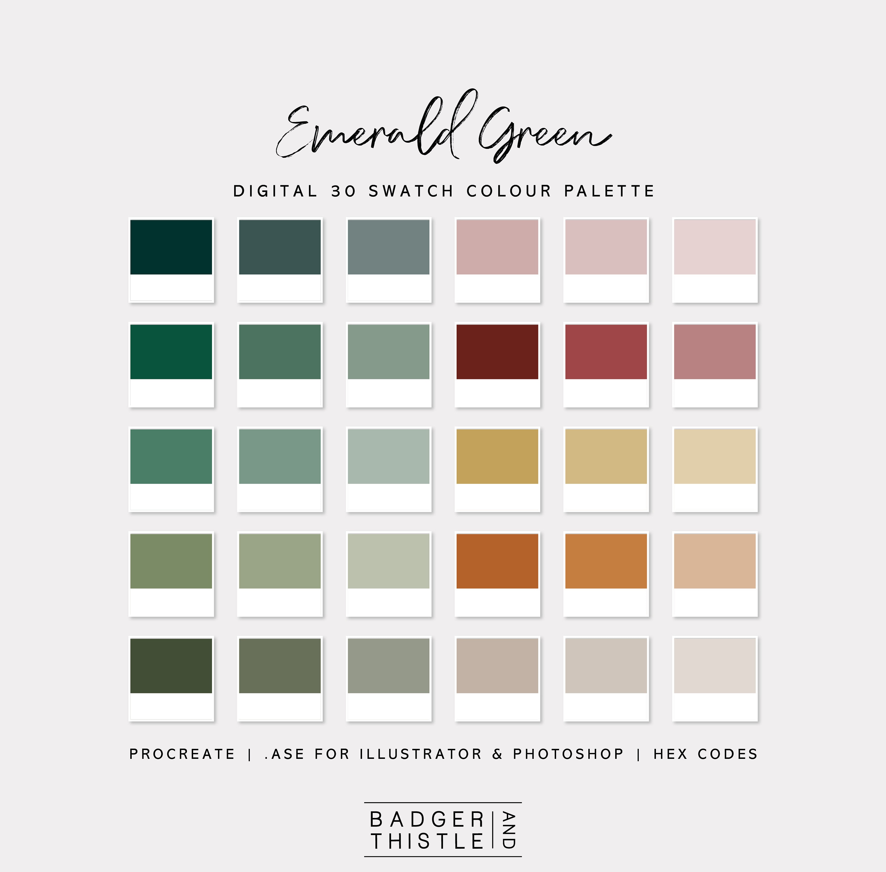 Vol.5 Colour Schemes 1 | Digital Colour Palette Swatches Download ...