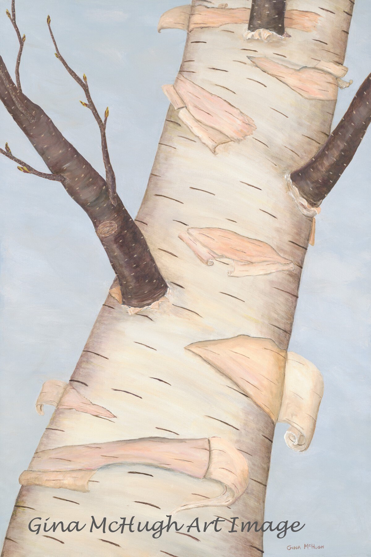 Birch Tree Trunk Peeling Bark Wall Art Print - Etsy