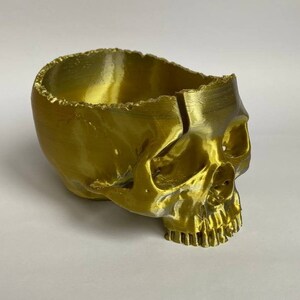 Yarn Bowl, Skull, Skeleton, Anatomy, 3d Printed, Knitting Crocheting ...