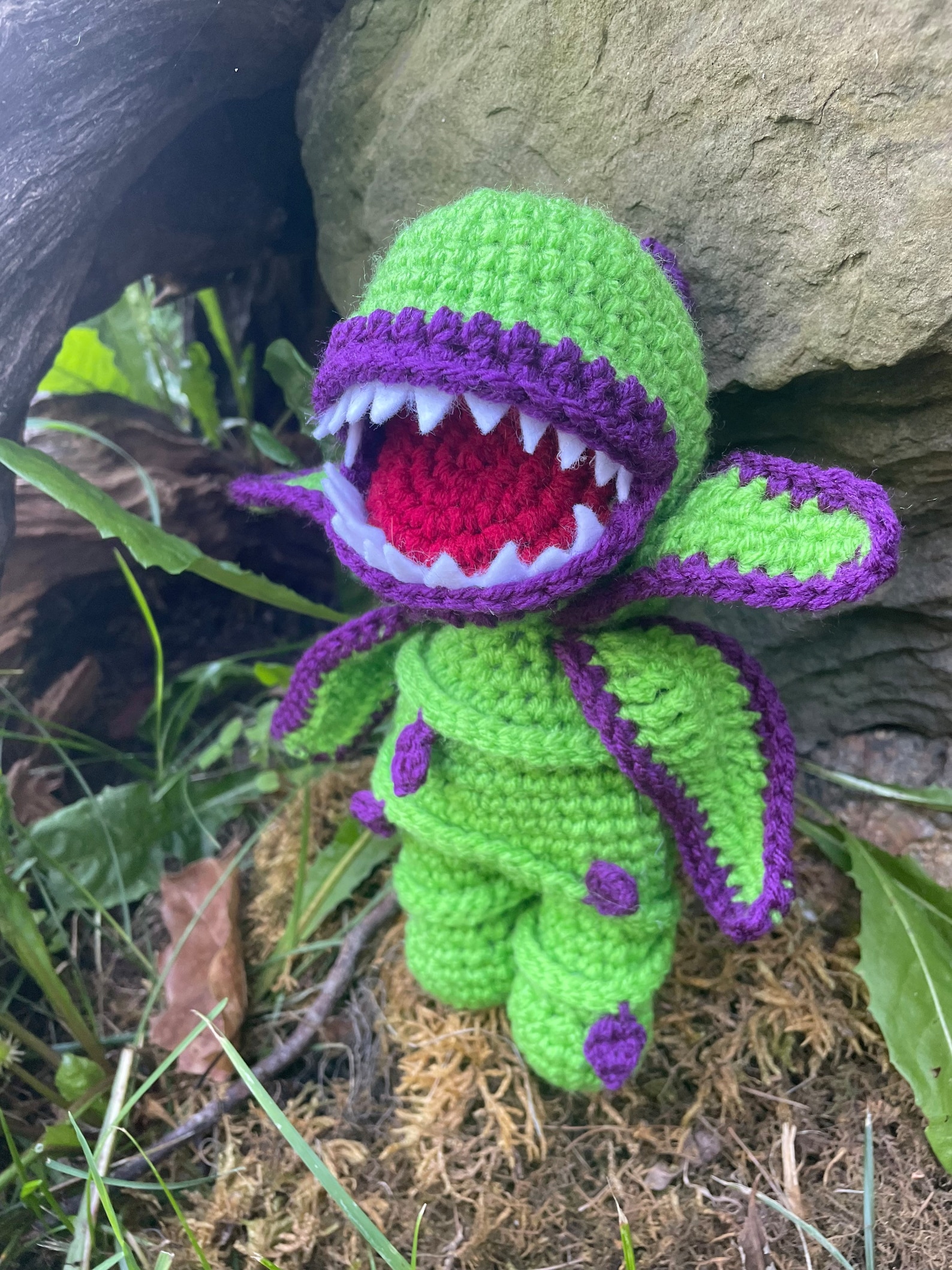 Venus Flytrap Crochet Pattern - Etsy