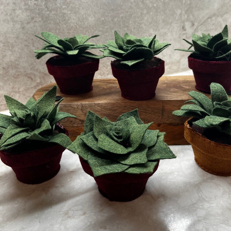Felt Succulents - Etsy
