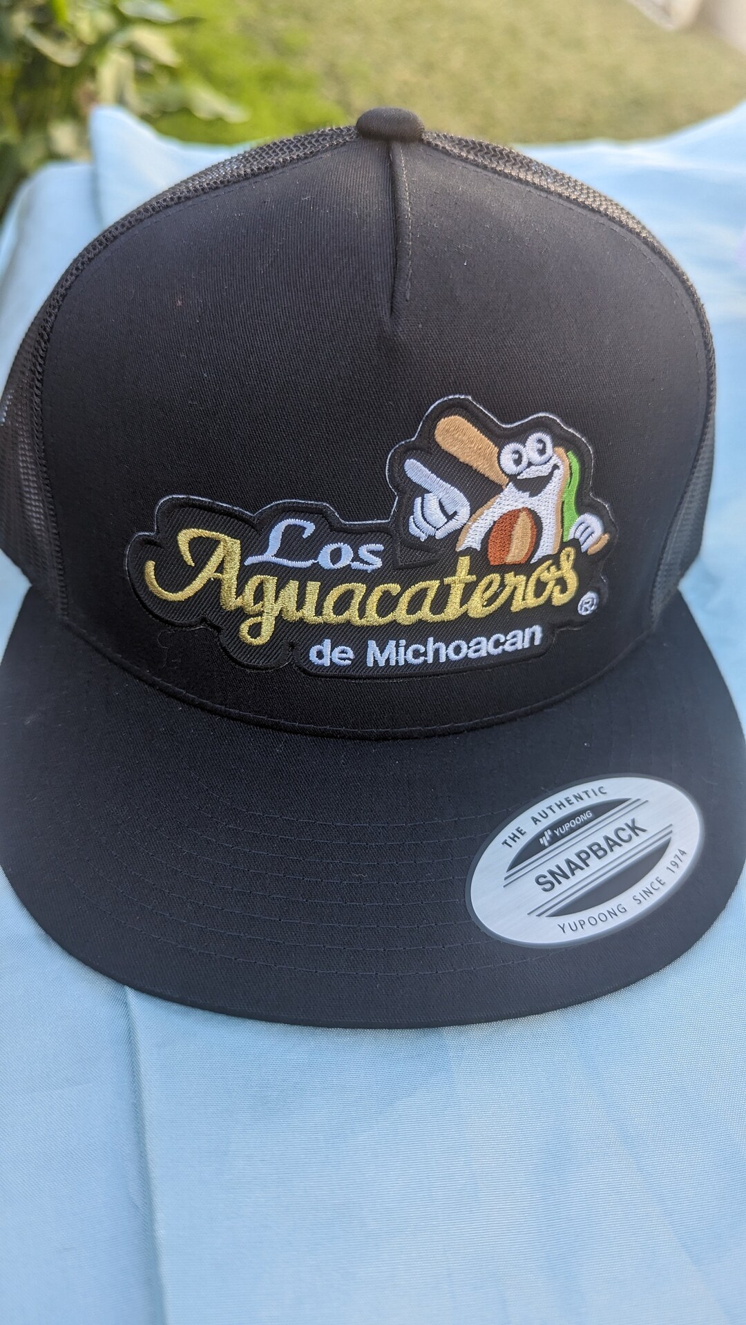 Los Aguateros De Michoacan Mexico Baseball Hat - Etsy