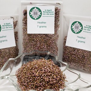 Heather Flower,heather Has a Long History of Both Medicinal Spiritual ...
