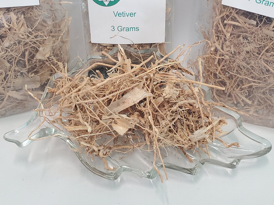 Fragrant Vetiver Roots, Rare Earth-binding Ritual Botanical - 3g, 7g ...
