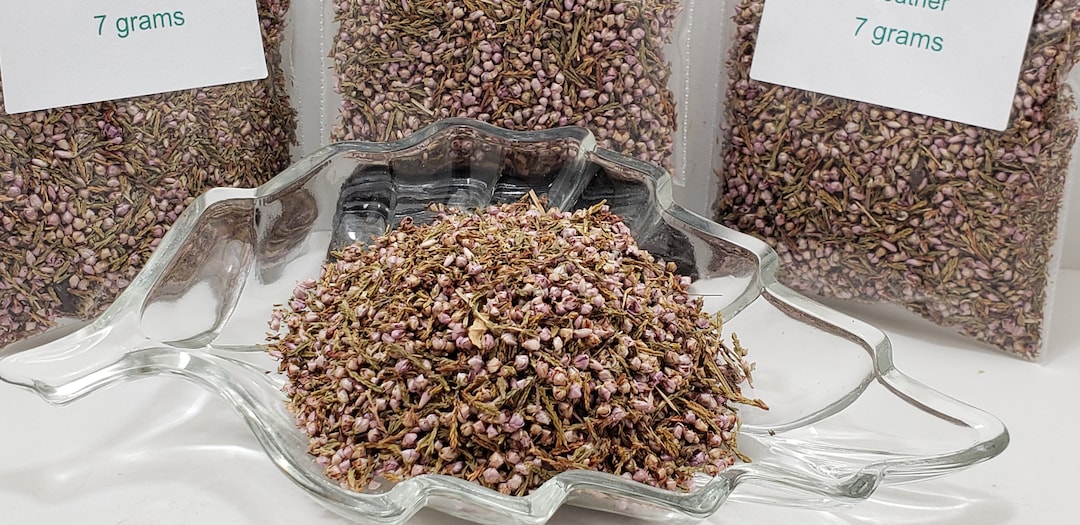 Heather Flower,heather Has a Long History of Both Medicinal Spiritual ...