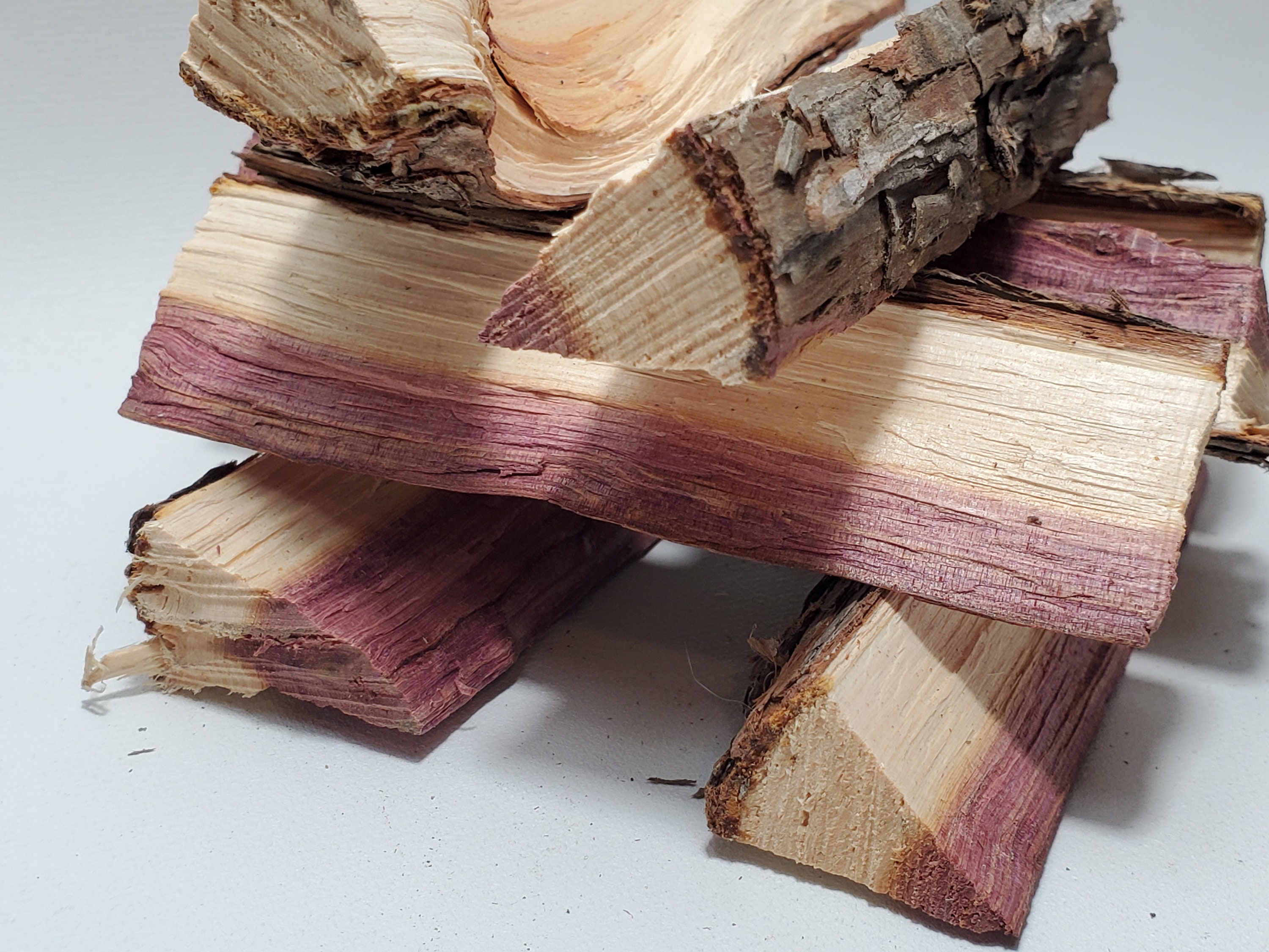 Gnarled Cedar Largethe Cherokee Believe the Cedar Tree to | Etsy