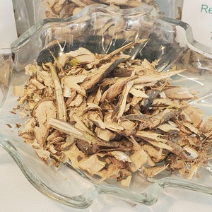 Red Oak,the Magical Oak Appears in Many Ancient Spells, Charms and ...