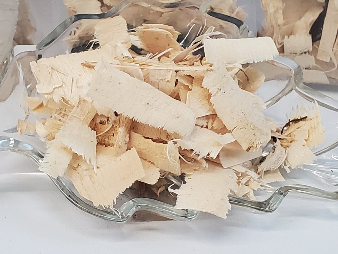 Quassia Chip,quassia Amara is Also Known as Amargo, Bitter-ash, Bitter ...