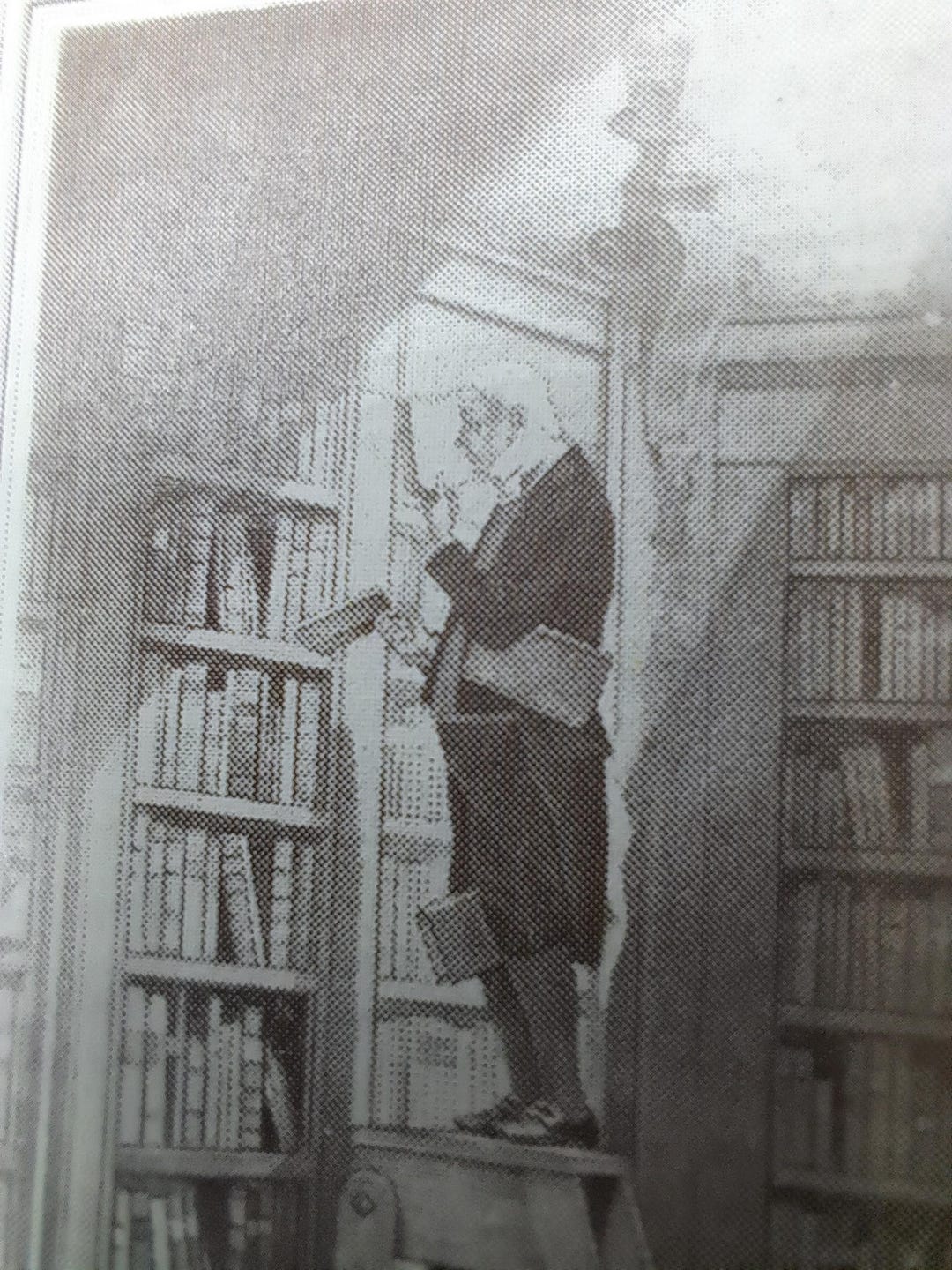 The Bookworm, Man on the Ladder by Carl Sputzweg on Bookplates. 30 of ...