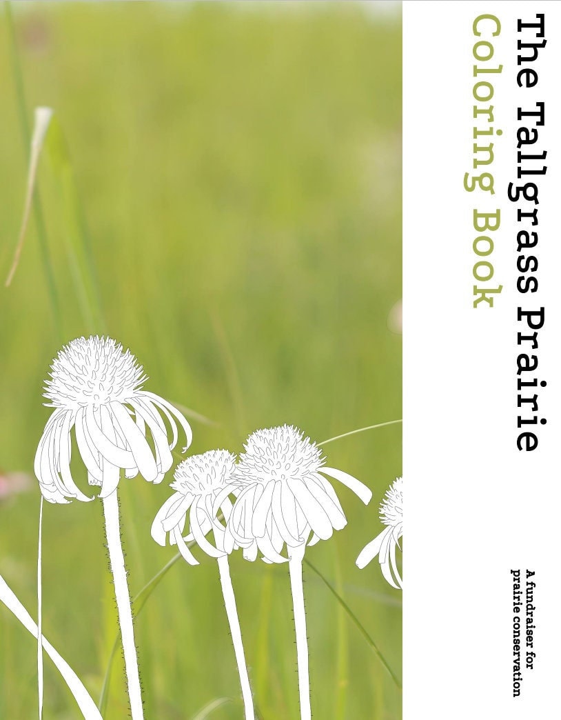 Tall Grass Coloring Pages