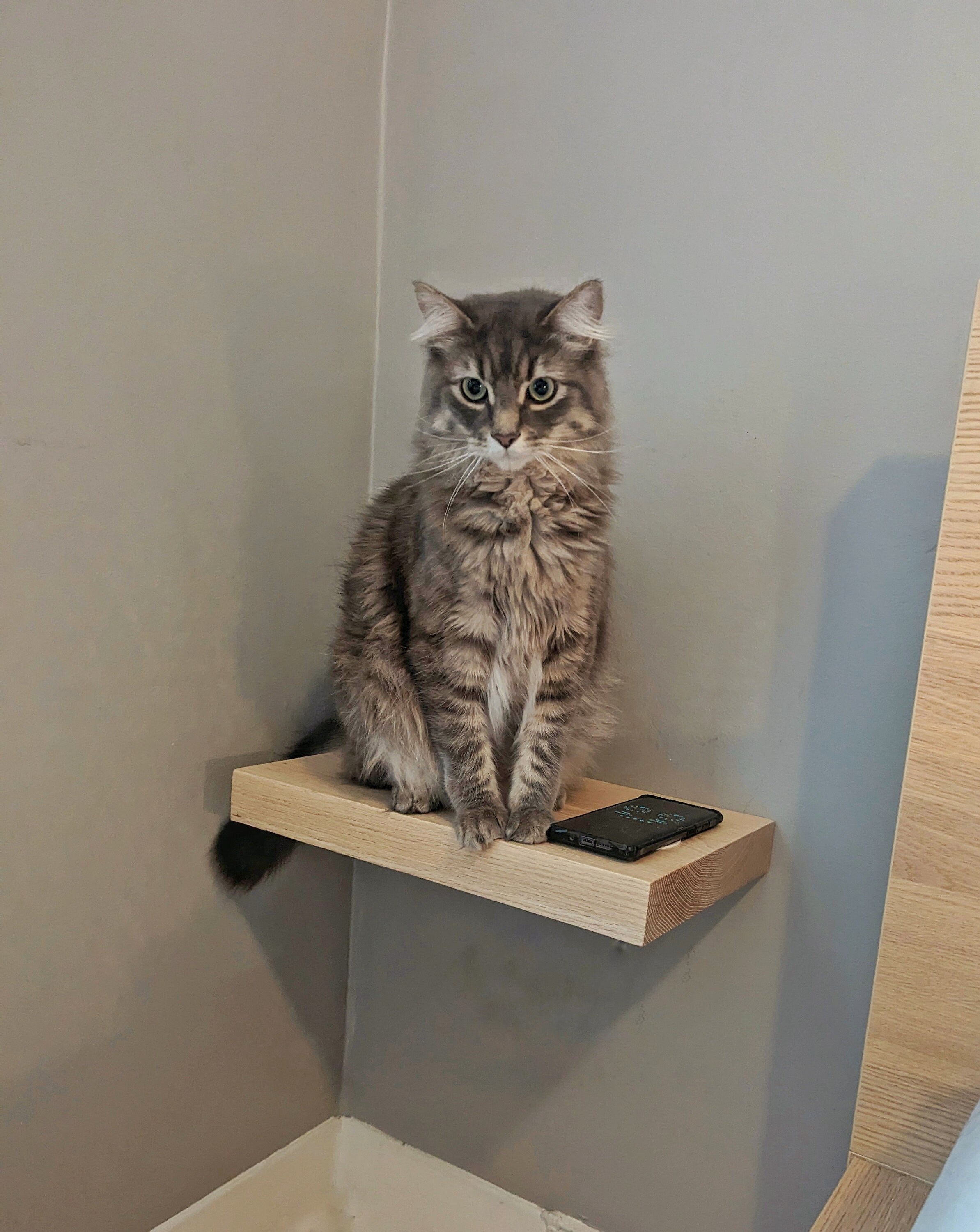 Floating Minimalist Nightstand Bedside Table - Etsy