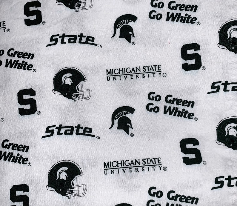 Michigan State University, Spartans Reversible Cotton Face Mask With ...