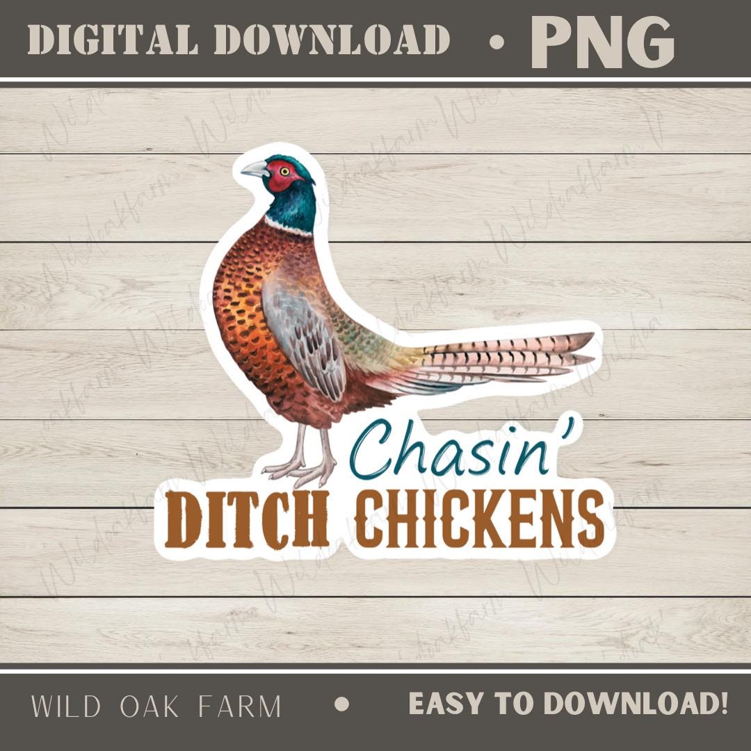 Pheasant, DIGITAL DOWNLOAD, Ditch Chicken, Chasin Birds, Funny Hunting ...