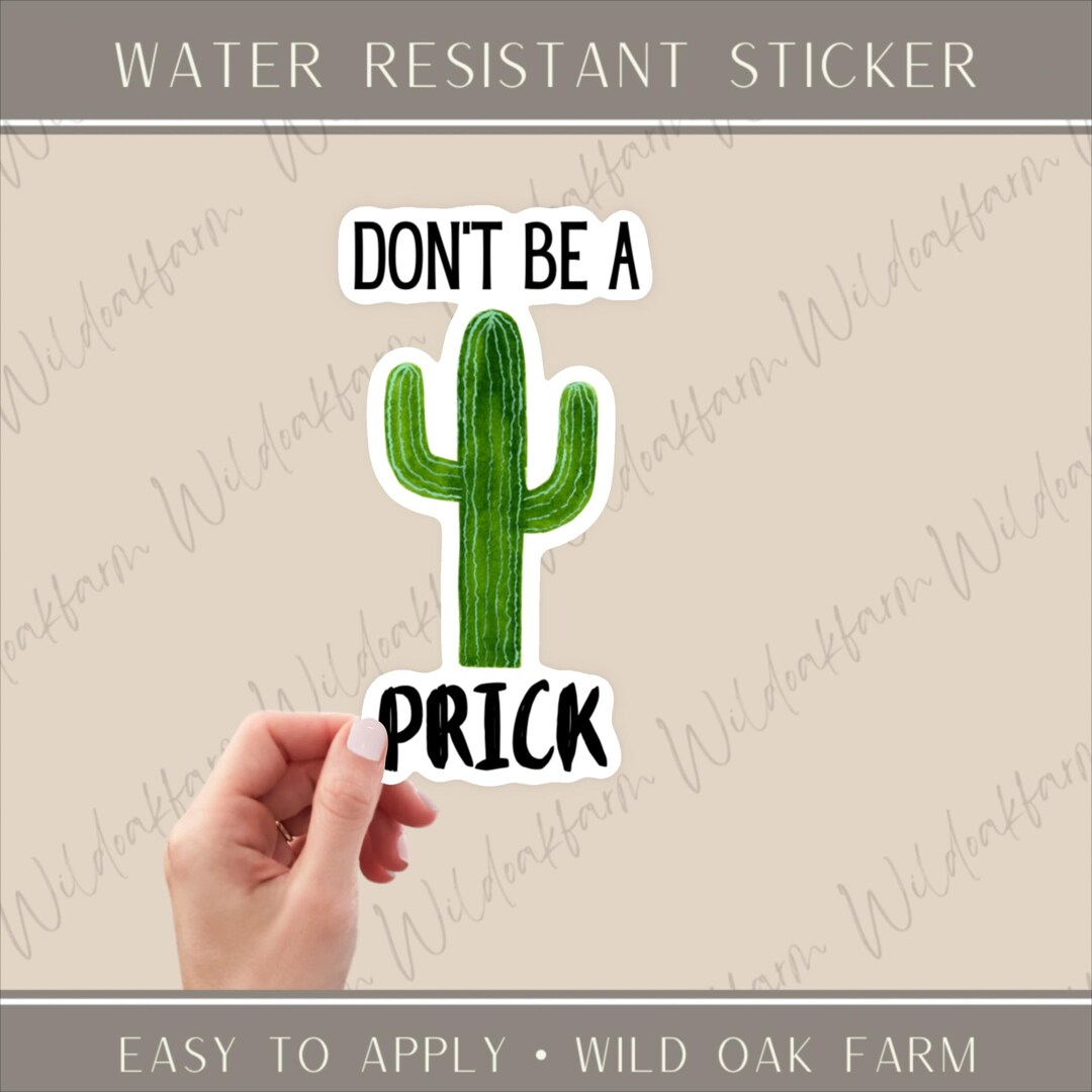Funny Pun Sticker Decal , Water Bottle Stickers, Puns, Cactus Sticker ...