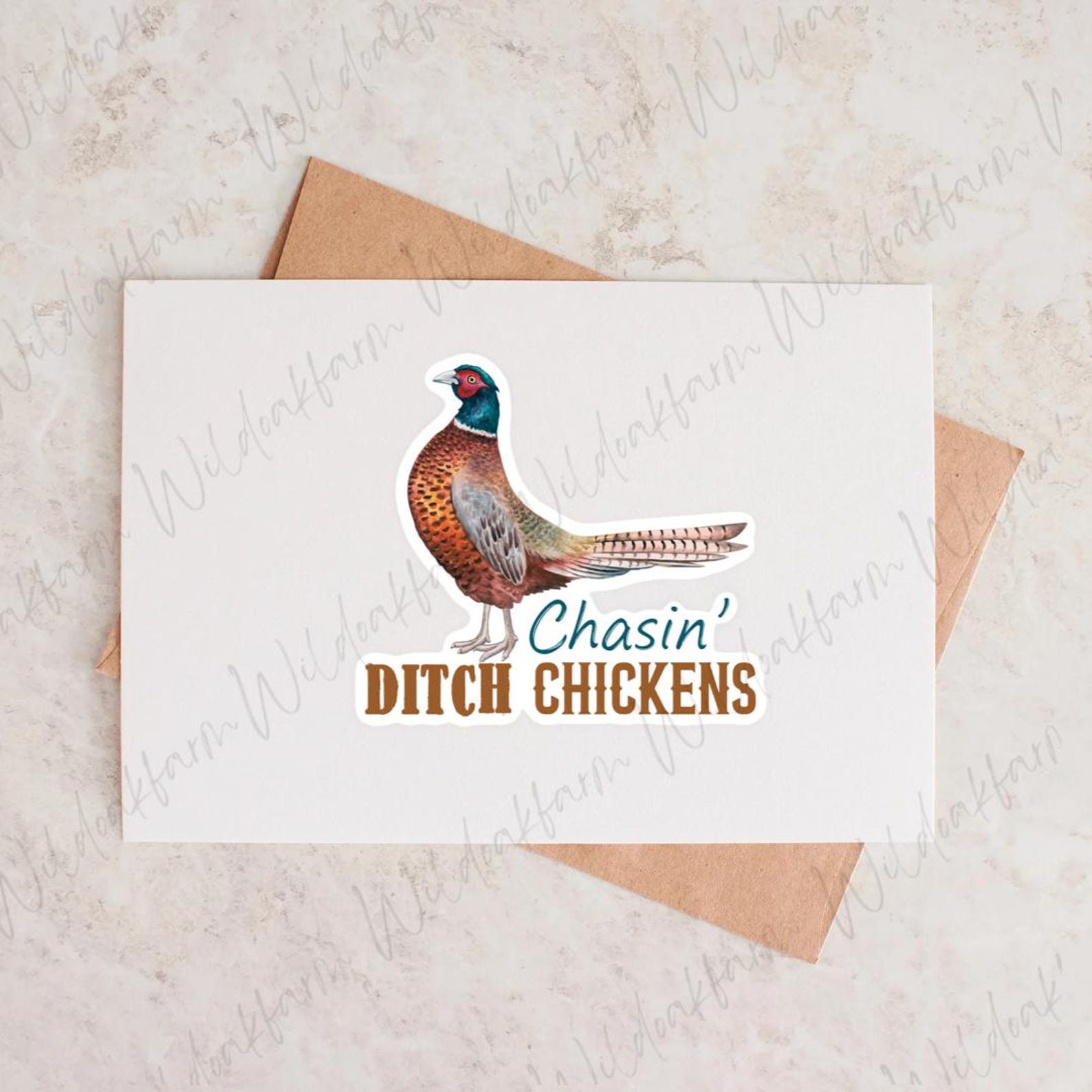 Chasin Ditch Chickens Sticker, Pheasants, Feather, Bird Dog, Chasing ...