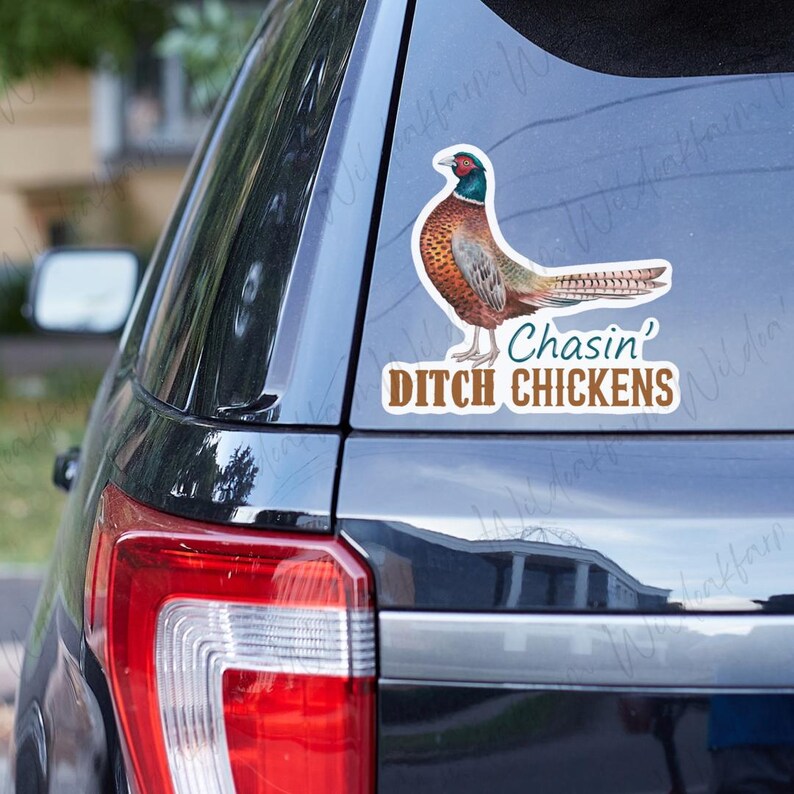 Chasin Ditch Chickens Sticker, Pheasants, Feather, Bird Dog, Chasing ...