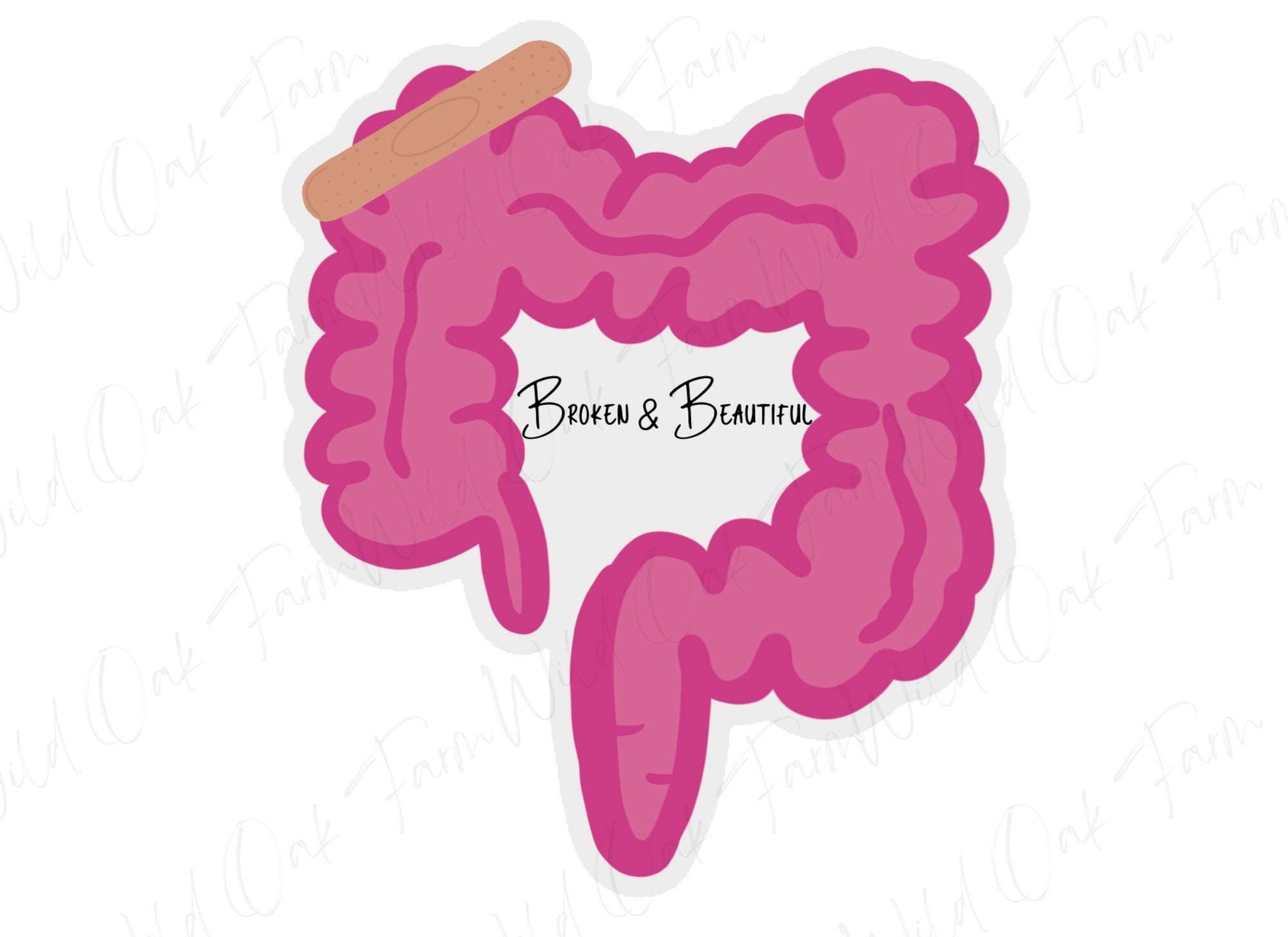 IBD Awareness Digital Download / Transparent / Broken and Beautiful ...