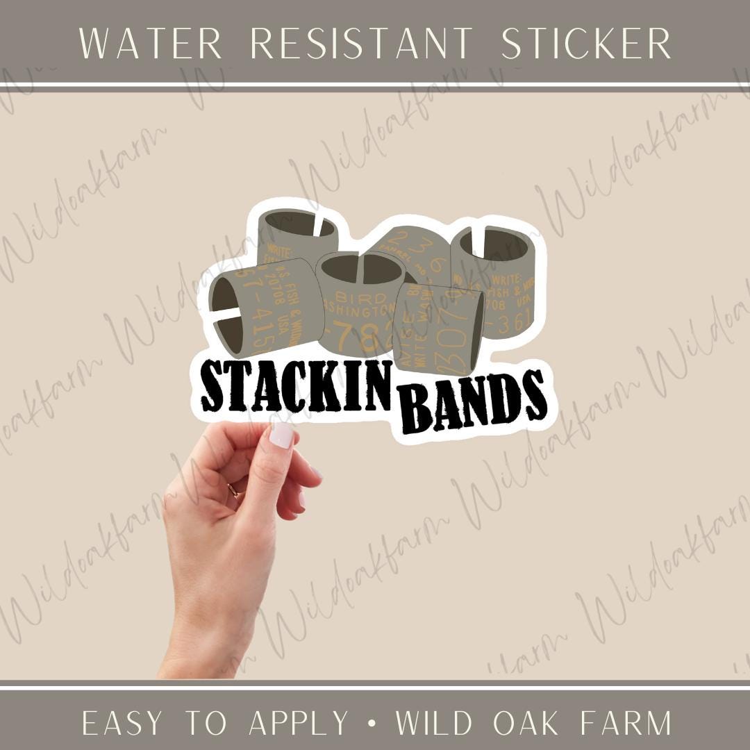 Chasin Ditch Chickens Sticker, Pheasants, Feather, Bird Dog, Chasing ...