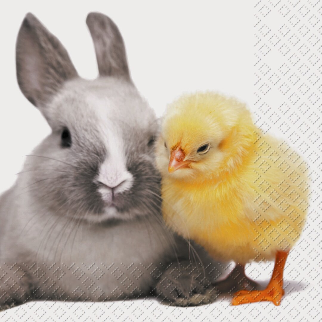 Henning Bunny Rabbit and Chick Easter Paper Napkin Serviette - Etsy UK