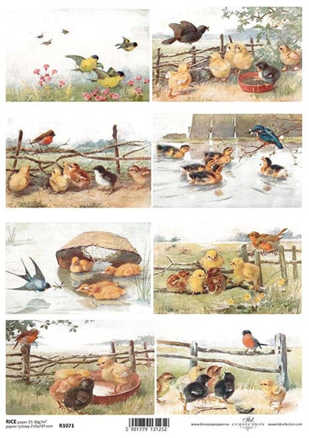 Ducks Ducklings A4 Rice Paper for Decoupage Scrapbooking Paper - Etsy UK