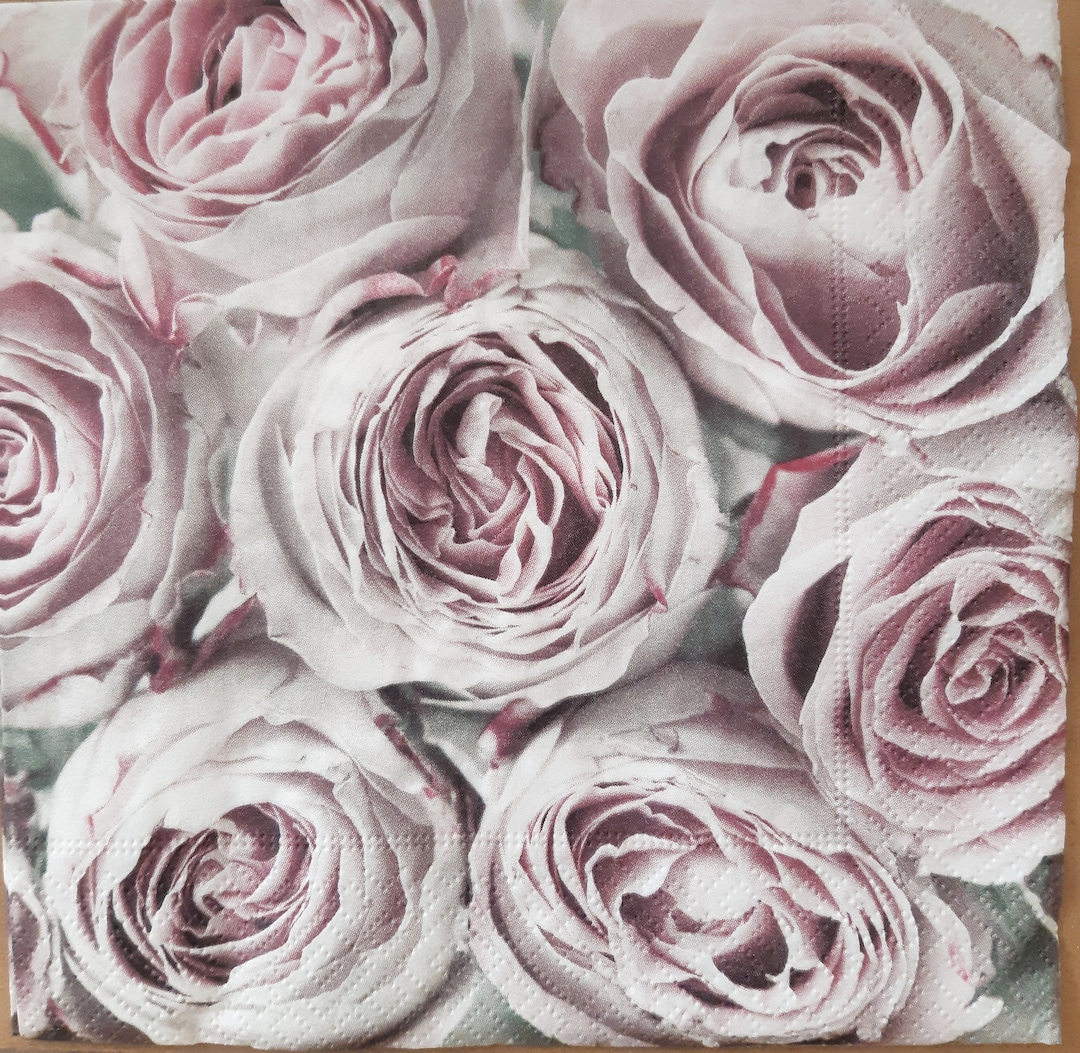 Roses All Over Pink Vintage Rose Paper Napkin Rare Sagen - Etsy