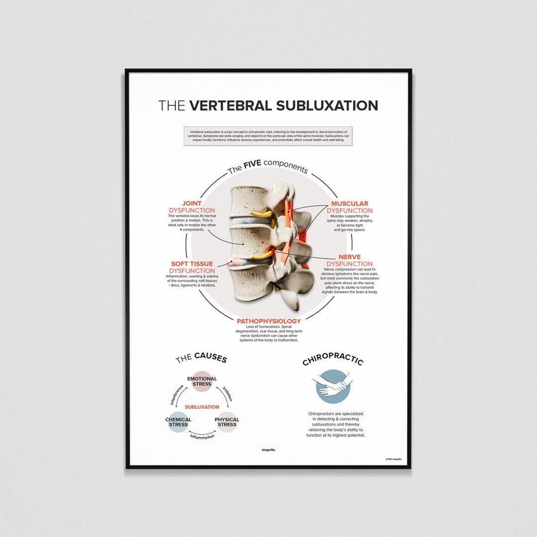 The Vertebral Subluxation - Etsy