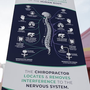 AUTONOMIC NERVOUS SYSTEM (chiropractic Banner) - Etsy