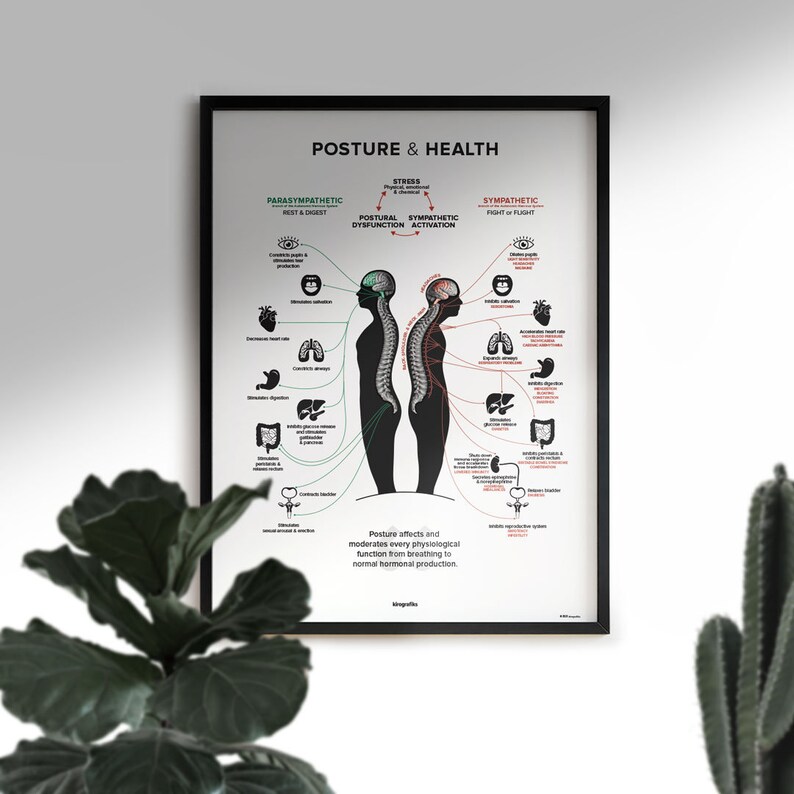 POSTURE & HEALTH | Etsy