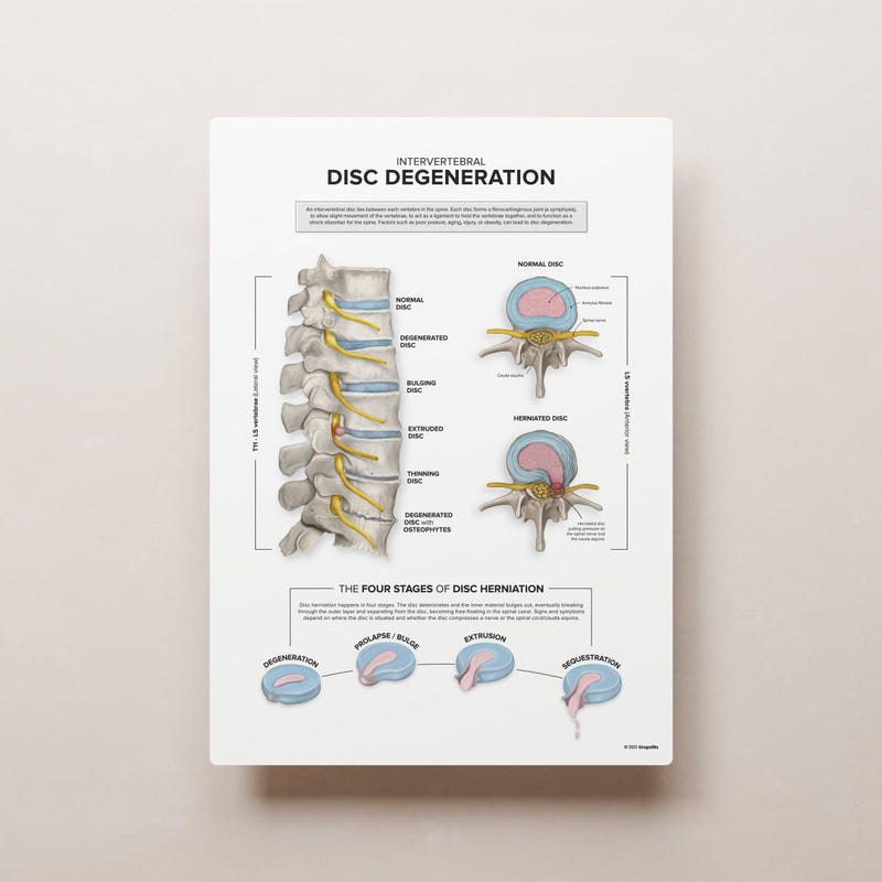 Decompressing Gifts - 60+ Gift Ideas for 2026