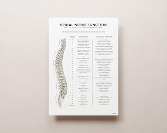 Chart of the Spinal Nerve, Print 5x7 - Etsy