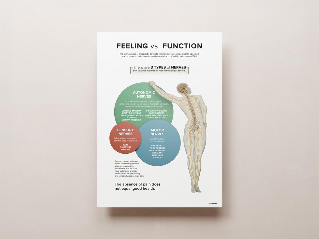 Feeling Vs. Function '24 - Etsy