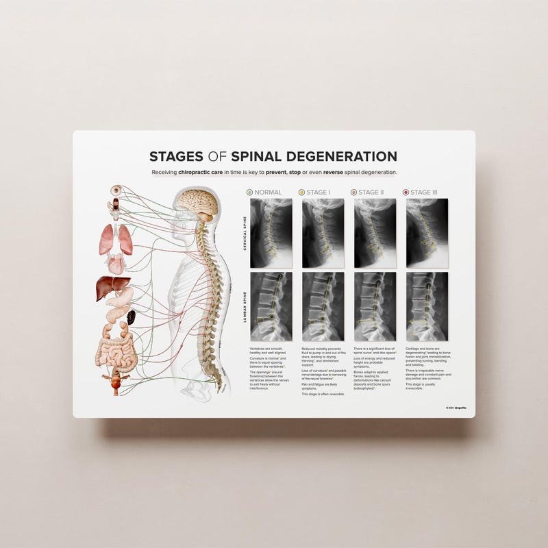 The Next Gen Spine Center - Etsy New Zealand