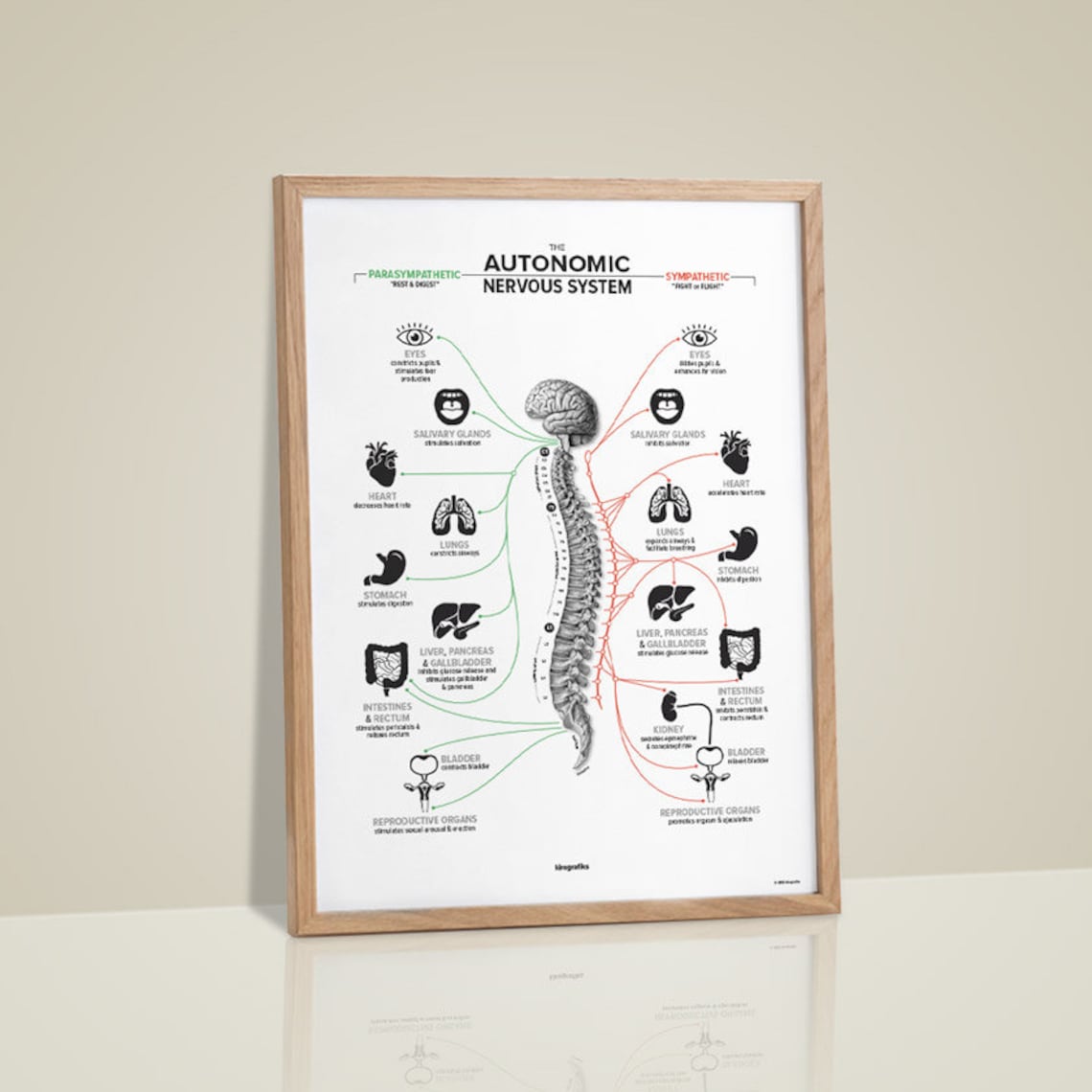 The Autonomic Nervous System ICON X DARK | Etsy