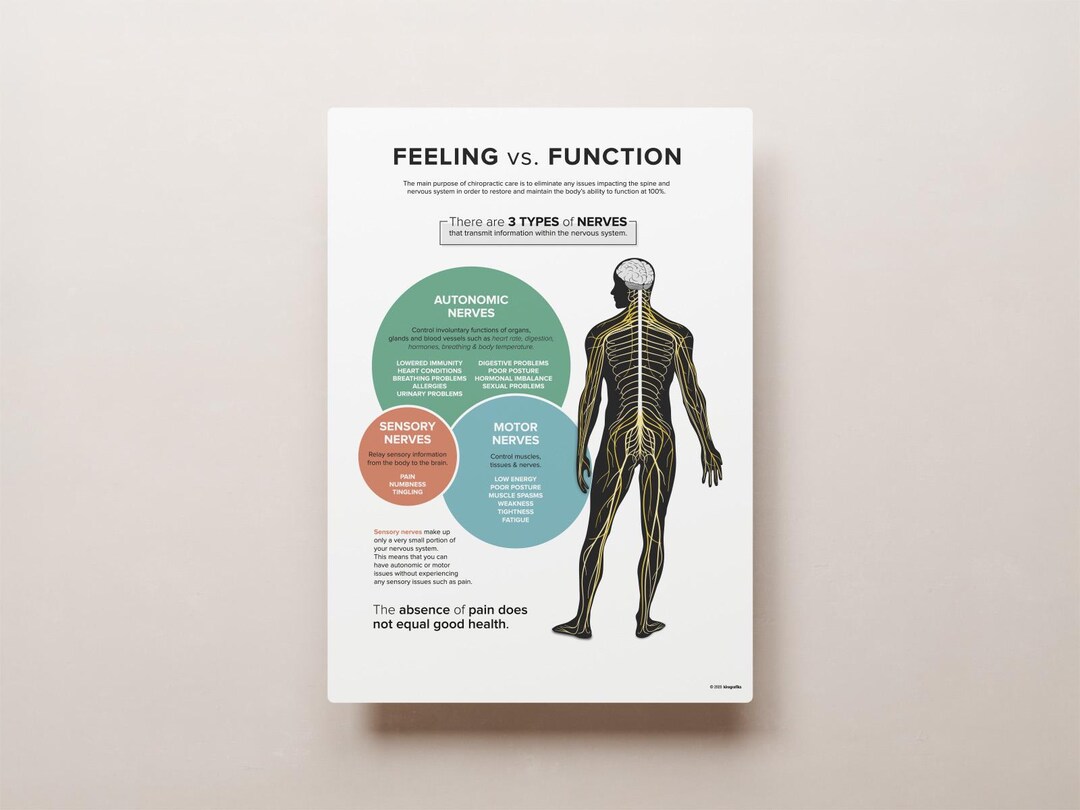 Feeling Vs. Function - Etsy