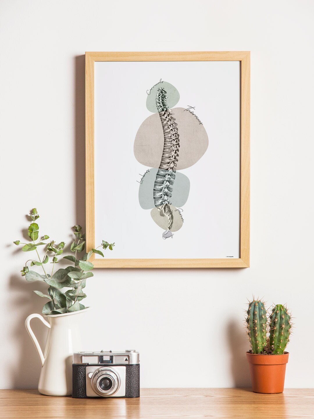 VINTAGE SPINE POSTER lateral View - Etsy