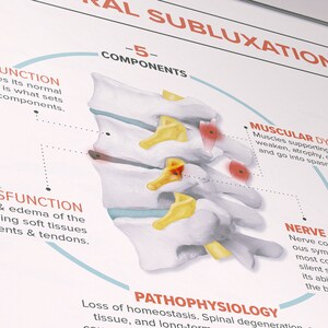The Vertebral Subluxation | Etsy