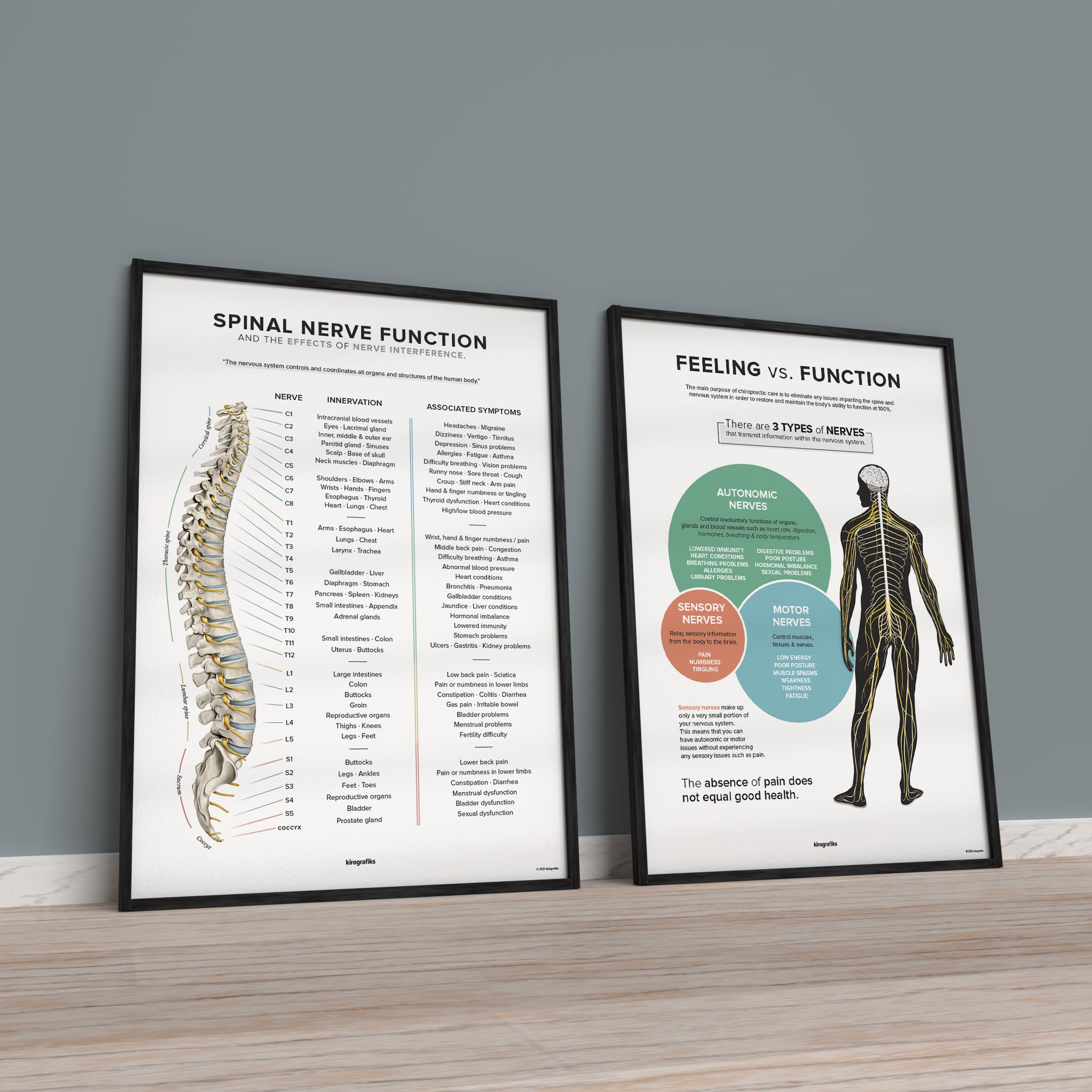 Spinal Nerve Function Chart - Etsy