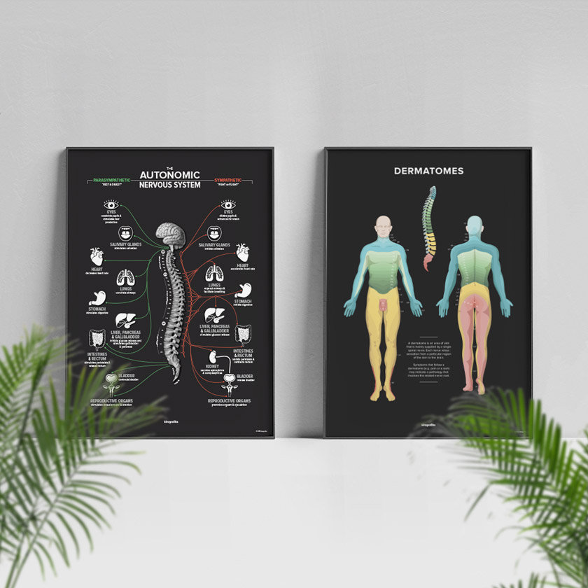 The Autonomic Nervous System ICON X DARK - Etsy