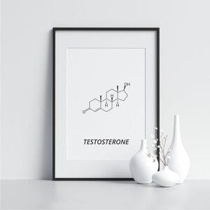 Testosterone Molecule Wall Art, Educational Art, Genetic Code, Science ...