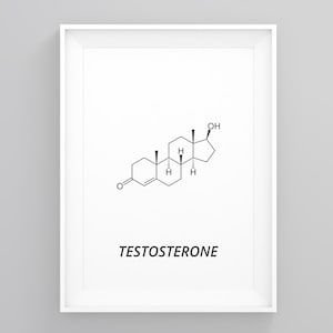 Testosterone Molecule Wall Art, Educational Art, Genetic Code, Science ...