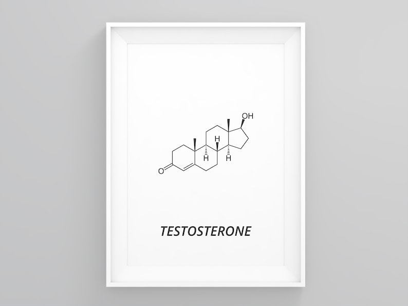 Testosterone Molecule Wall Art Educational Art Genetic Code | Etsy