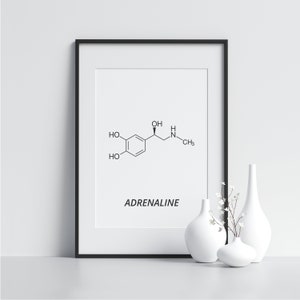 Adrenaline Molecule Print, Chemistry Poster, Science Art Print, Rna ...