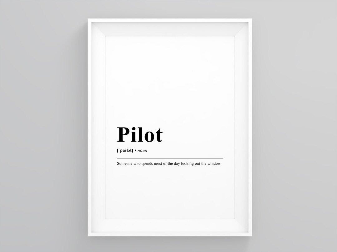 Pilot, Funny Definition Wall Art, Definition Wall Art, Typography Wall ...