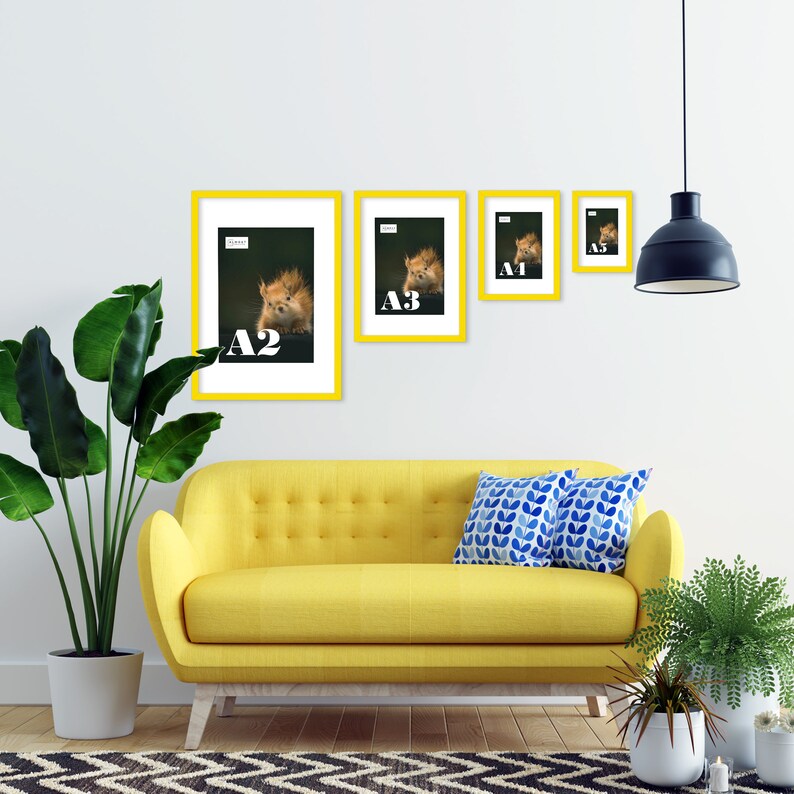 Yellow Picture Frame, Yellow Photo Frame, A2, A3, A4, A5, White Mounted ...
