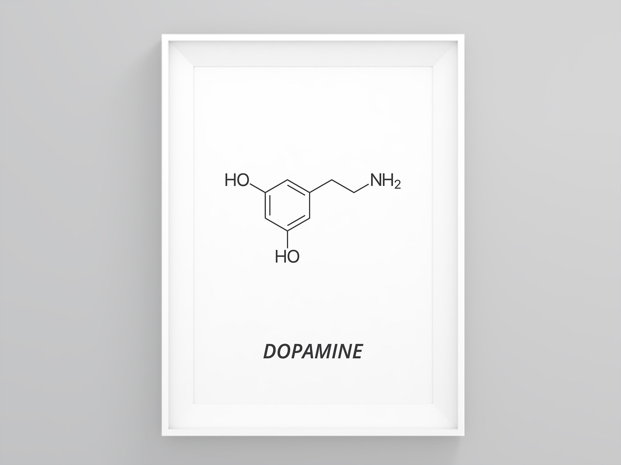 Dopamine Molecule Poster Science Teacher Gift Molecule | Etsy