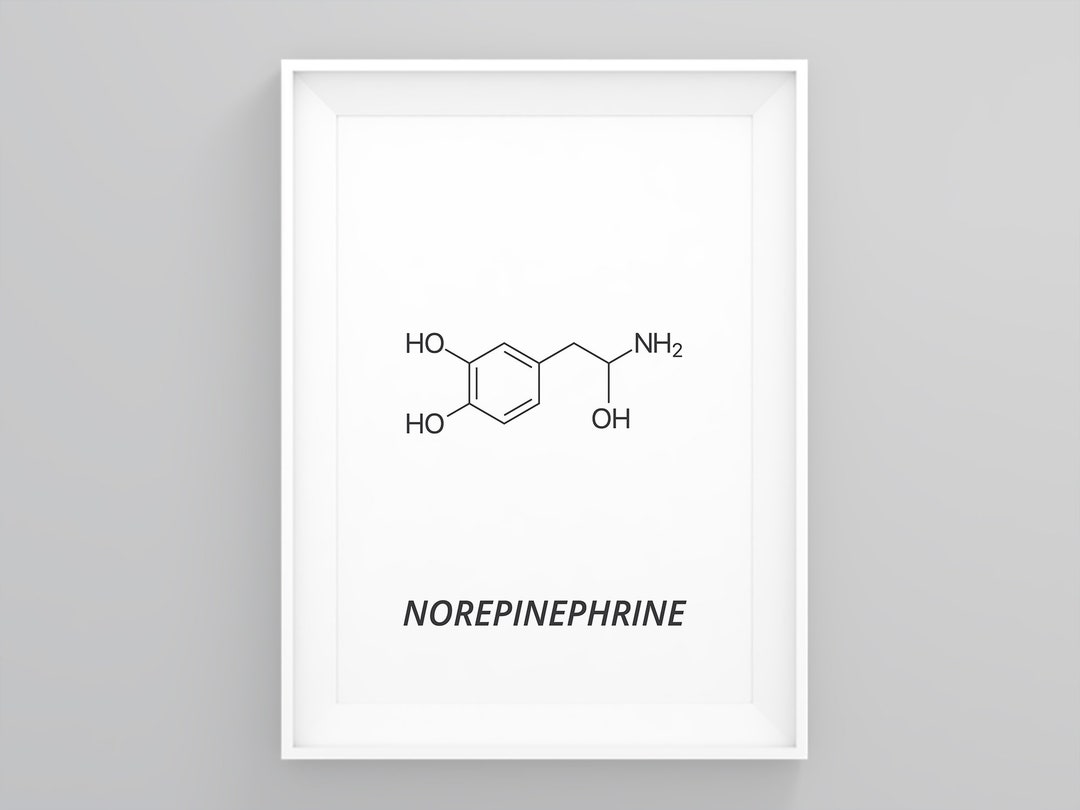 Norepinephrine Molecule Print, Science Wall Decor, Molecule Wall Art ...