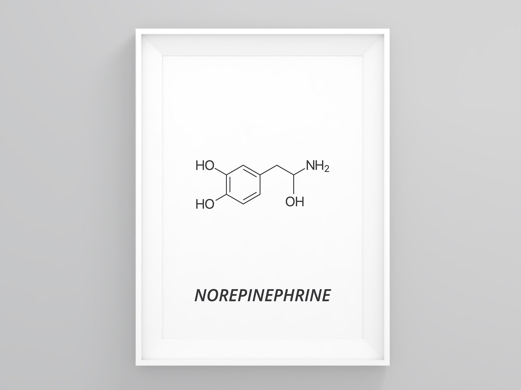 Norepinephrine Molecule Print Science Wall Decor Molecule - Etsy